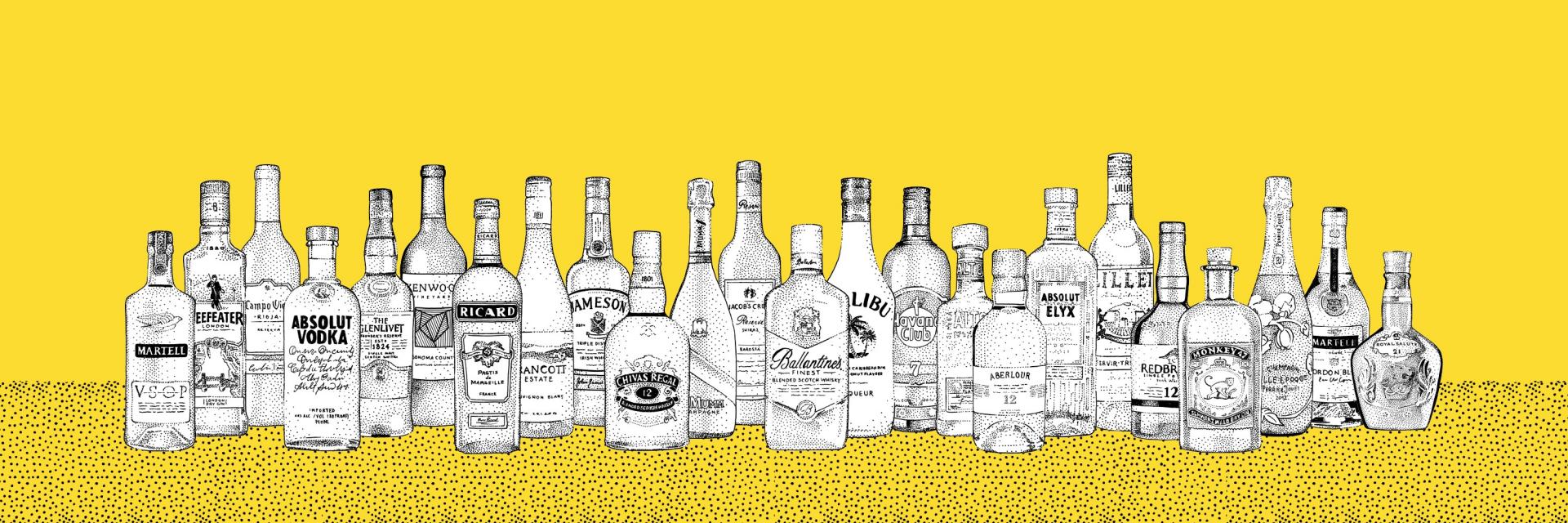 kaneva. \\ Portfolio, réalisations agence