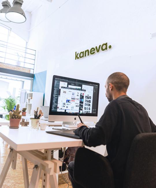 kaneva. \\ Notre vision et nos expertises